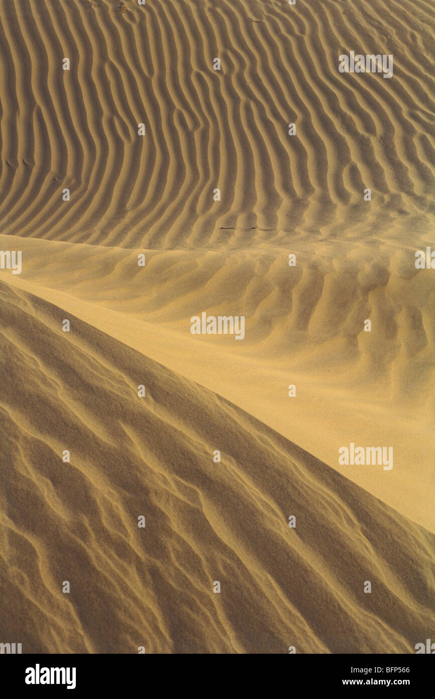 Thar desert ; Sand dunes ; Khuri ; Jaisalmer ; Rajasthan ; India ; Asia ...