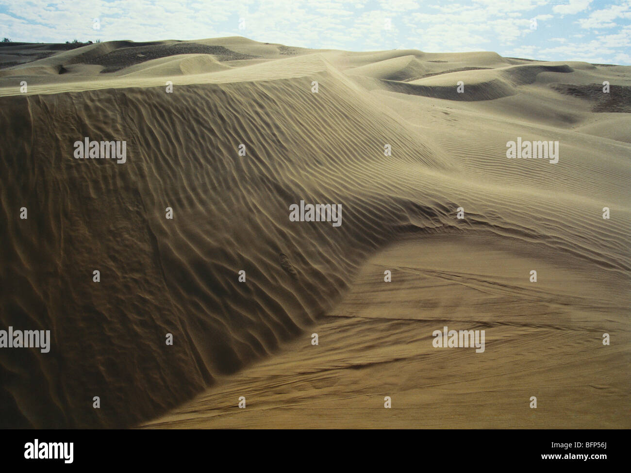 Thar desert ; Sand dunes ; Khuri ; Jaisalmer ; Rajasthan ; India ; Asia ...