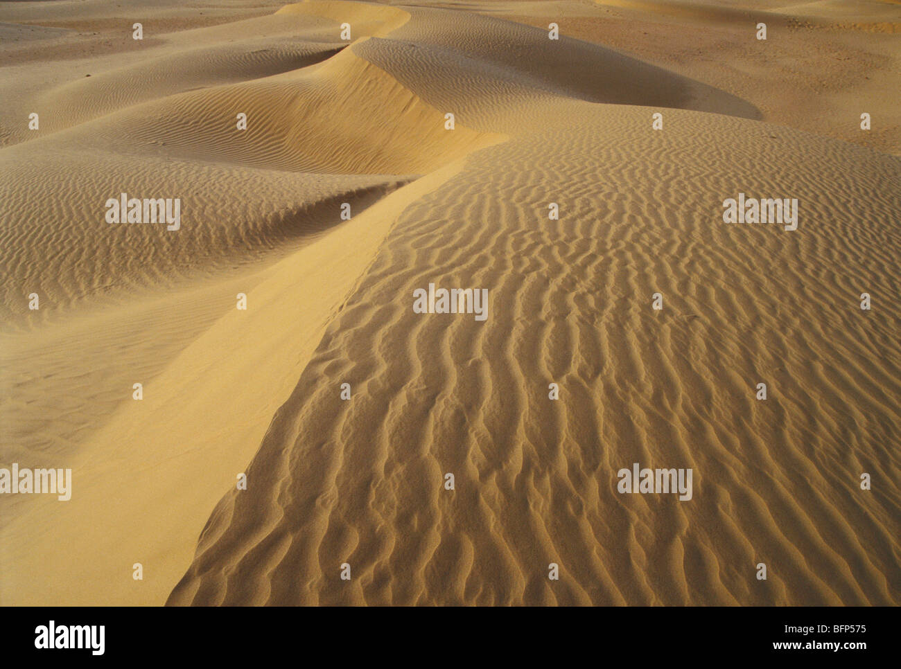 HMA 66014 : Sand dunes ; Khudi ; Rajasthan ; India Stock Photo - Alamy