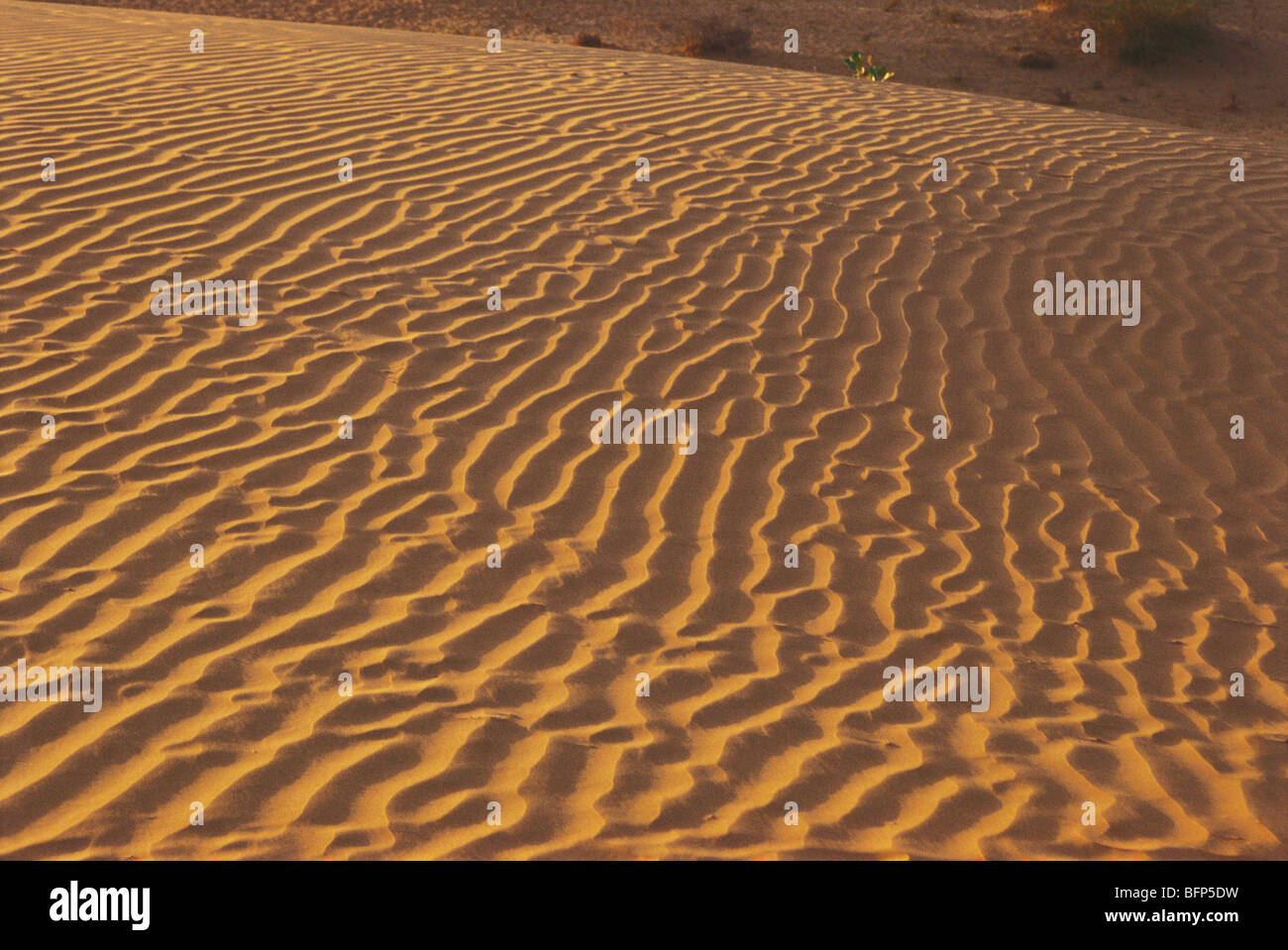 Osian desert hi-res stock photography and images - Alamy