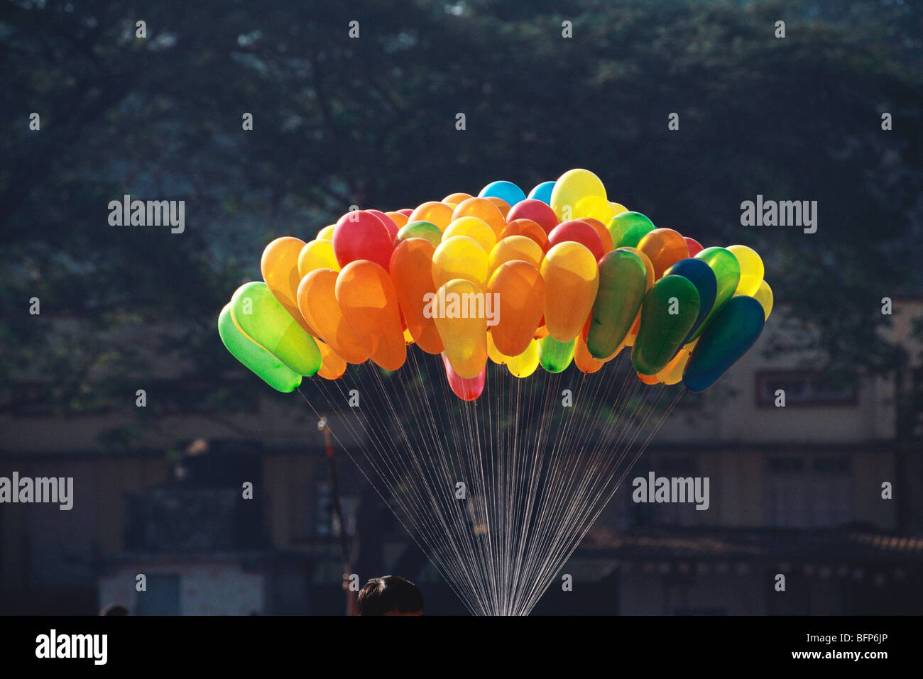 Colorful balloons ; colourful balloons filled with helium gas Stock ...