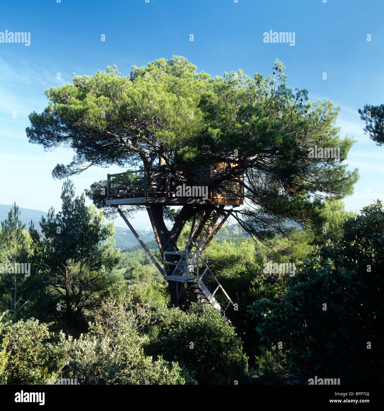 Tree house with construction belt of steel, lined with rubber allowing ...