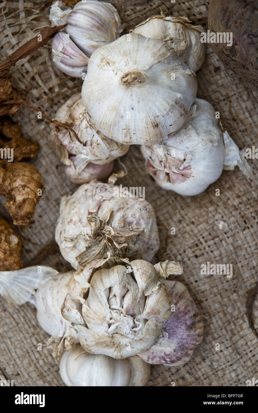Fresh garlic bulbs stacked hi-res stock photography and images - Alamy