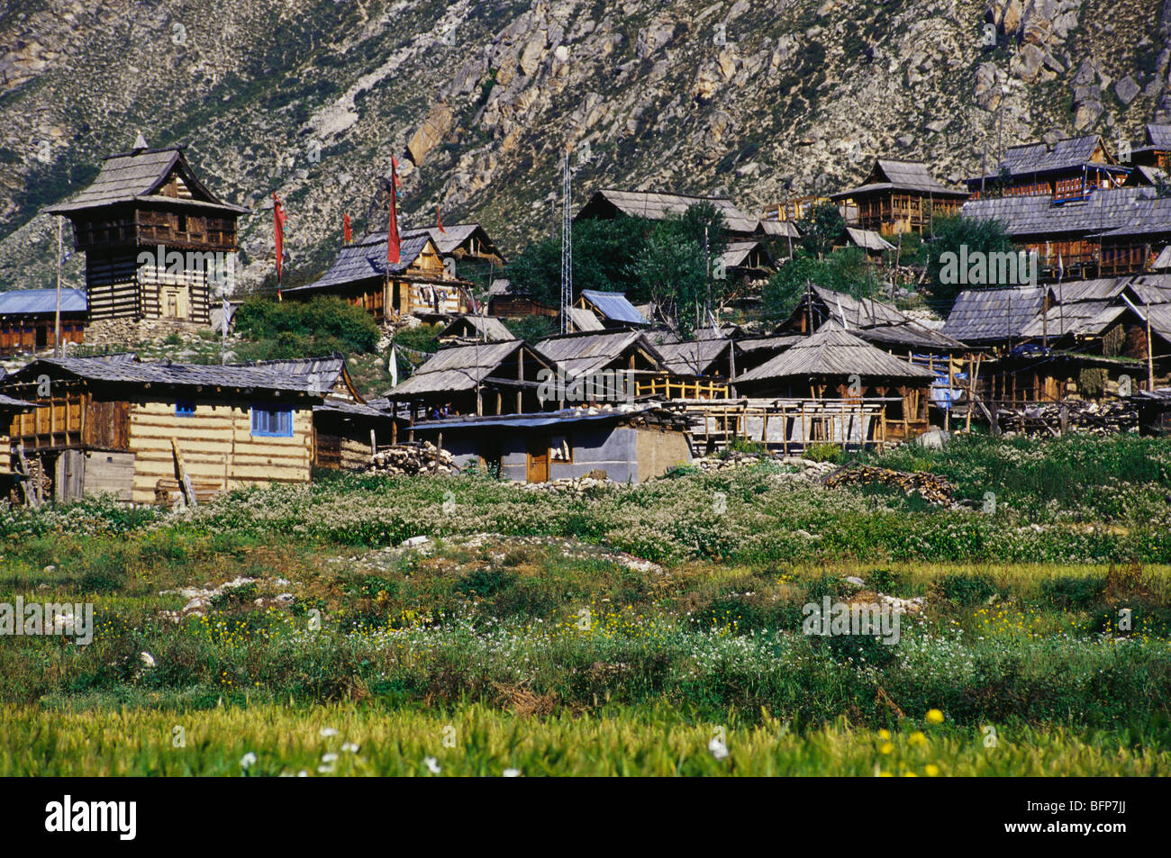 Chitkul village ; Kinnaur ; Sangla Valley ; Himachal Pradesh ; India ...