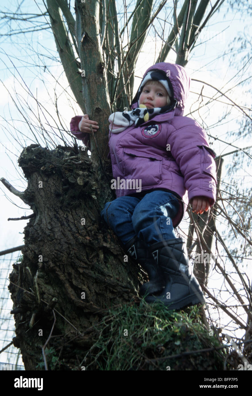 Toddler climbing in a tree Stock Photo - Alamy