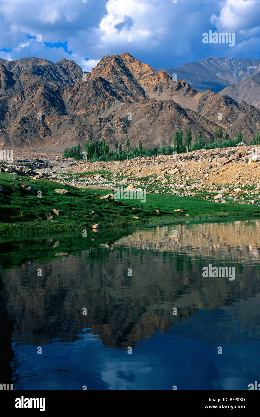 SOM 64938 : Medicinal Spring Sabu ; Leh ; Ladakh ; Jammu and Kashmir ...