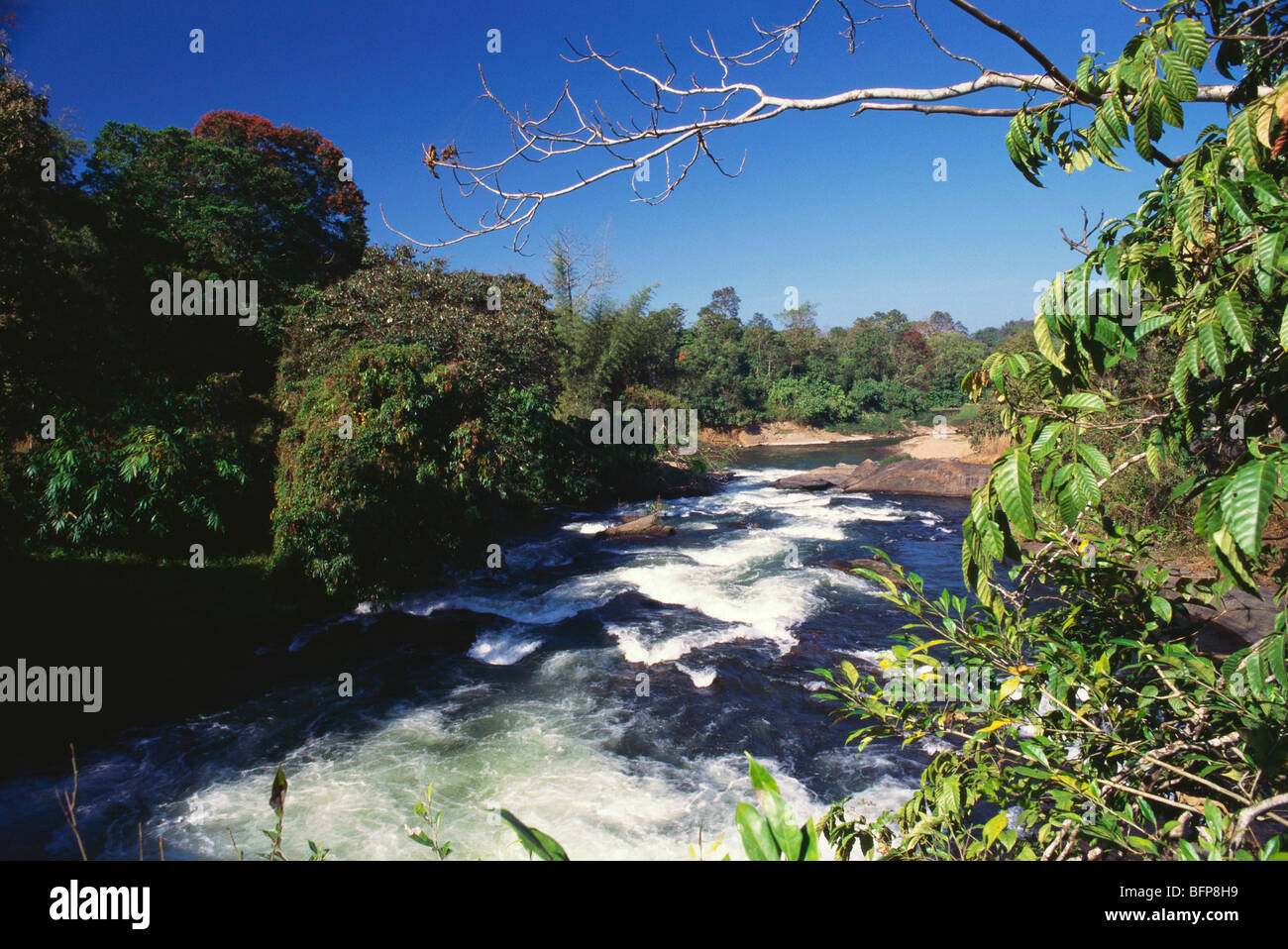 Anakkayam river stream ; Nilgiri hills ; Anaimalai Hills ; Malappuram ...