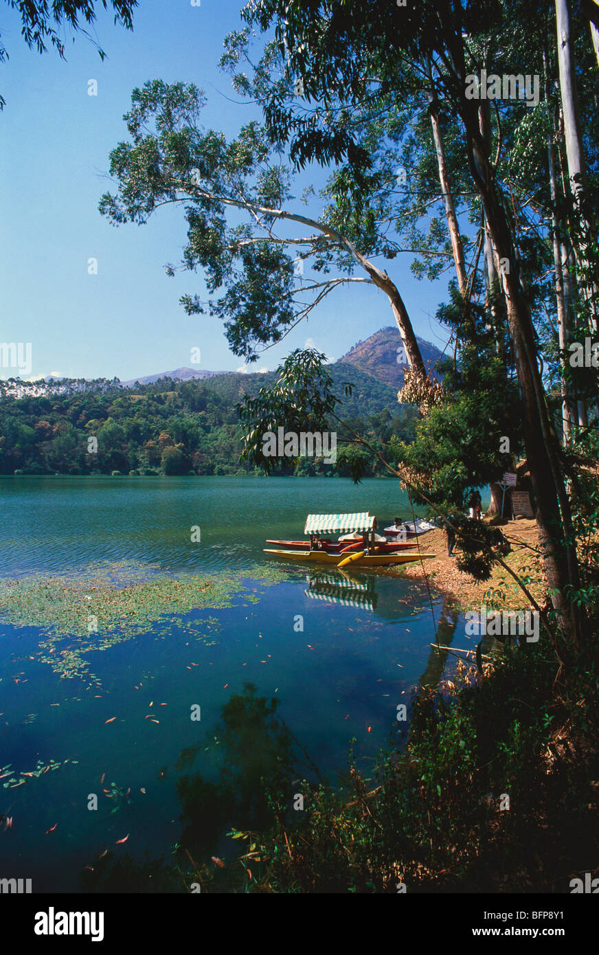 Kundala dam ; Munnar ; Kerala ; India Stock Photo - Alamy