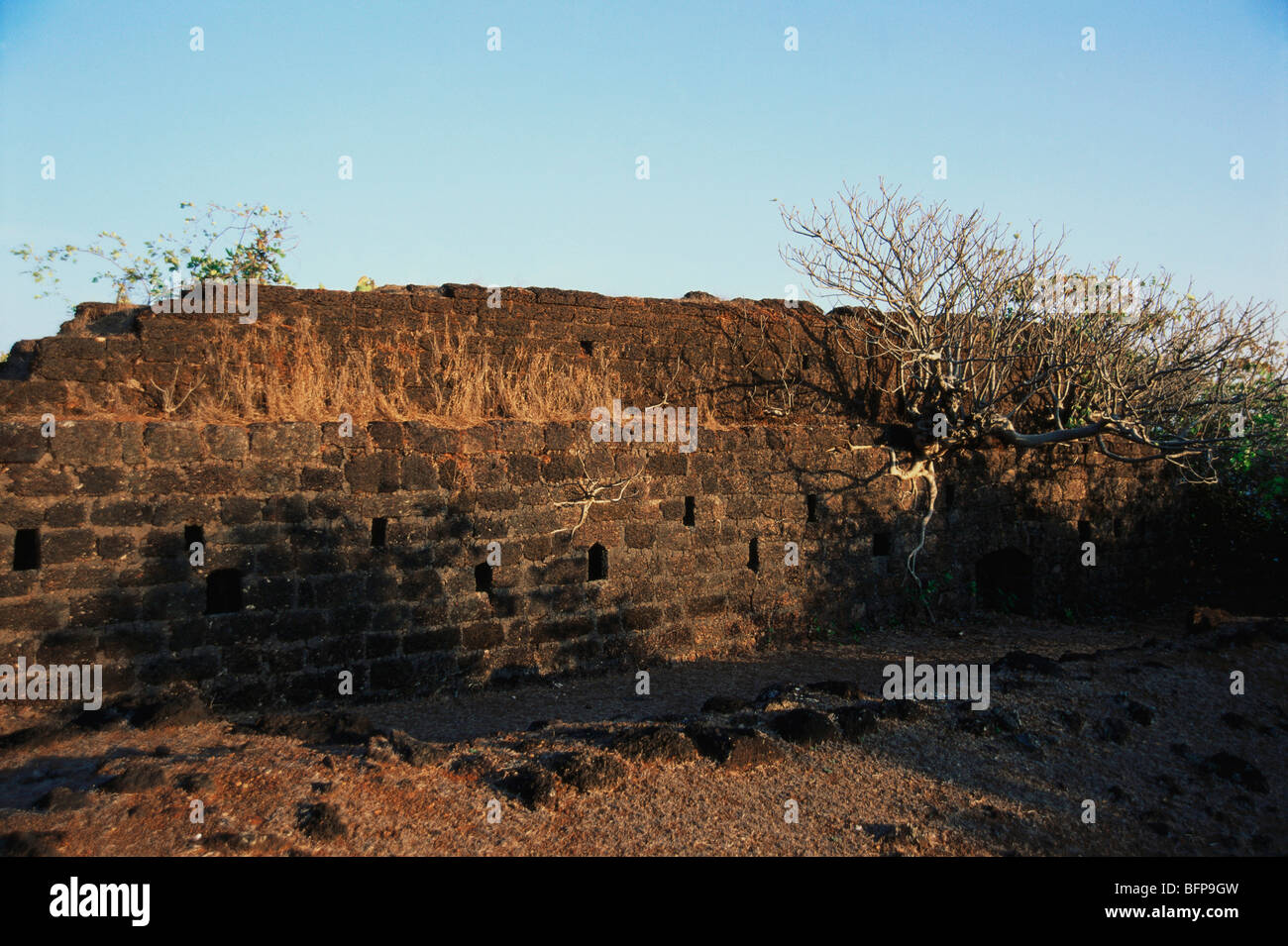 Kudal hi-res stock photography and images - Alamy