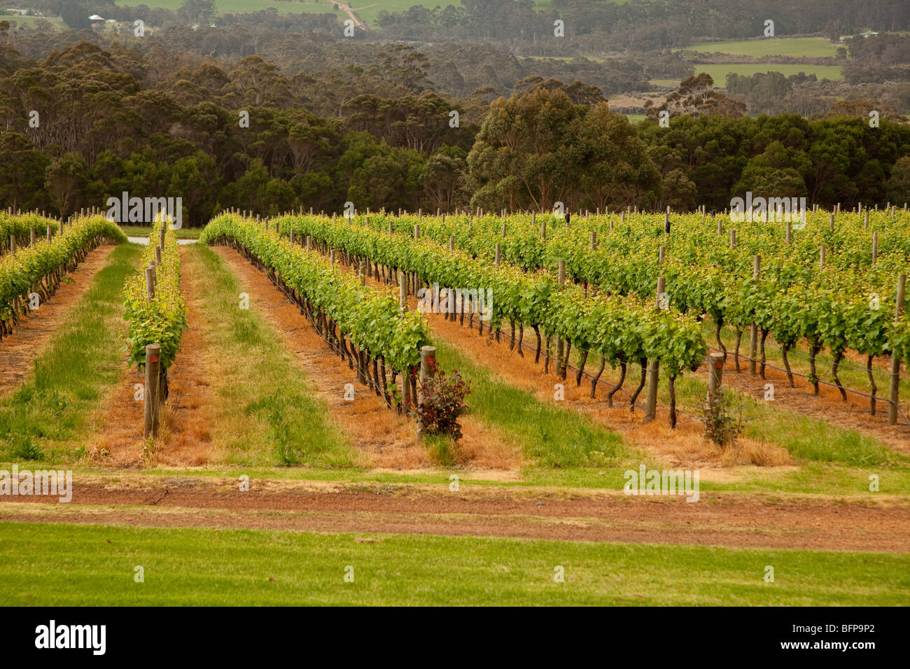 Denmark Western Australia Stock Photos & Denmark Western Australia ...