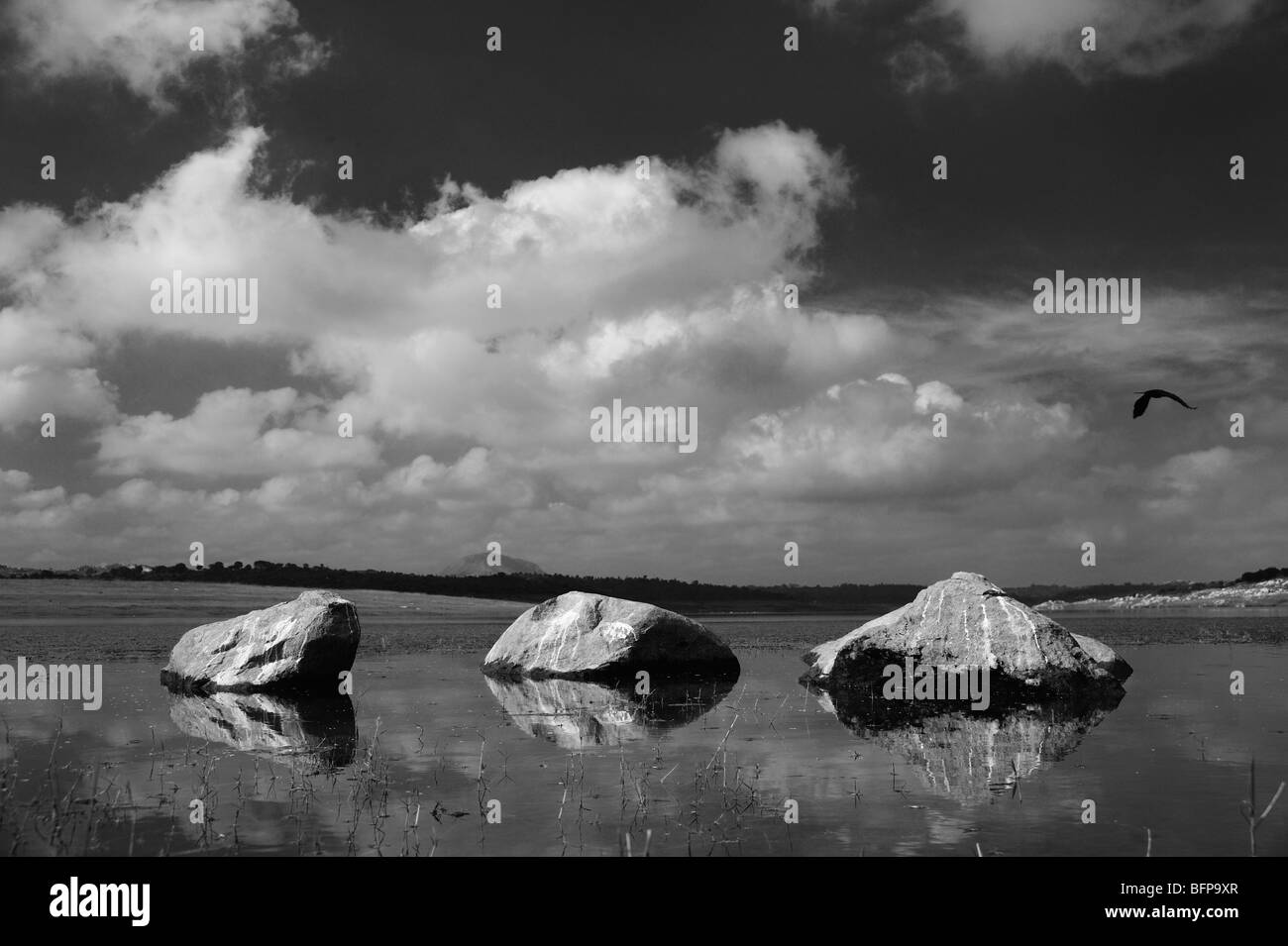 Three Stones in Water Stock Photo - Alamy