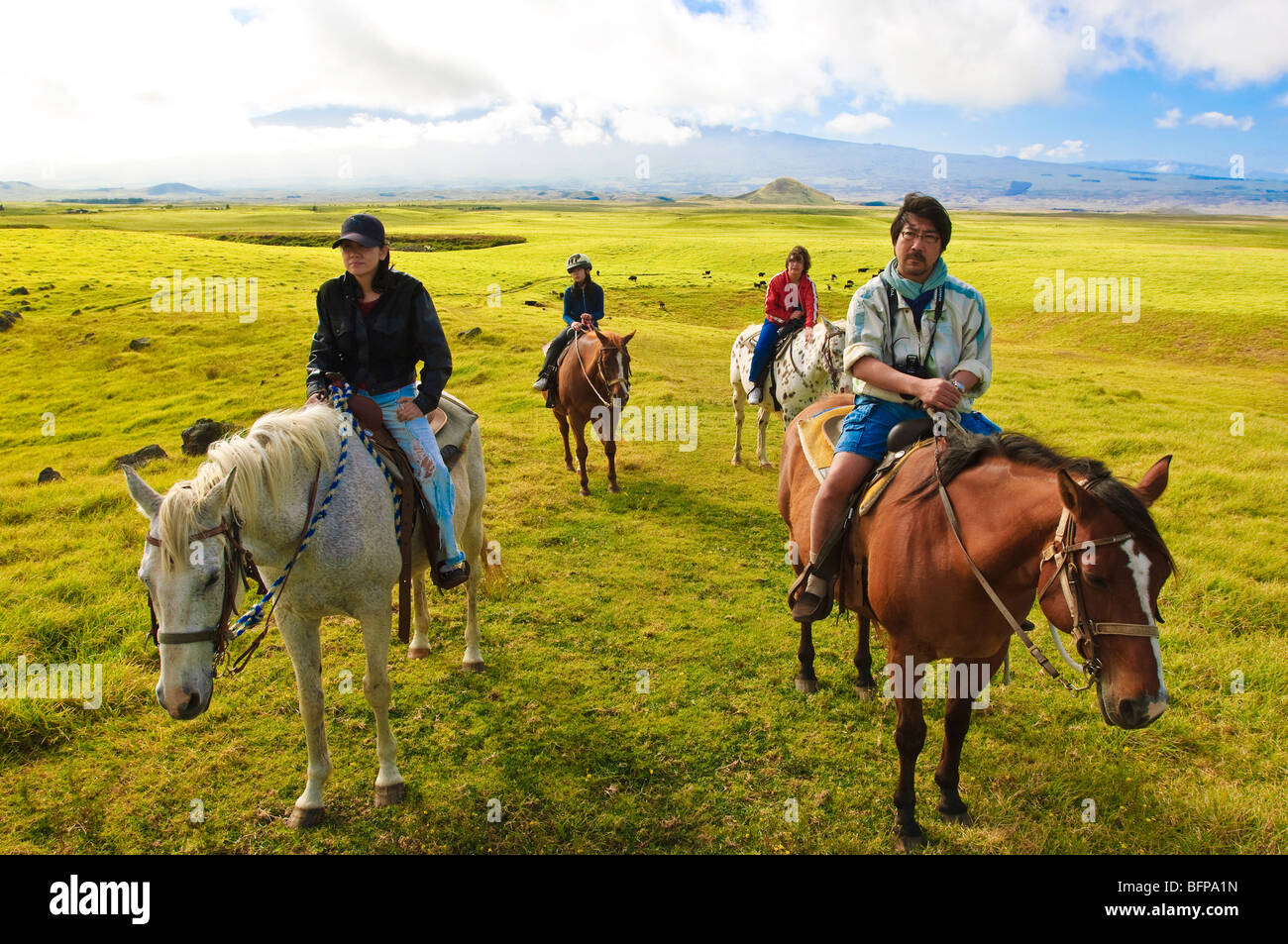 Parker ranch hawaii hi-res stock photography and images - Alamy