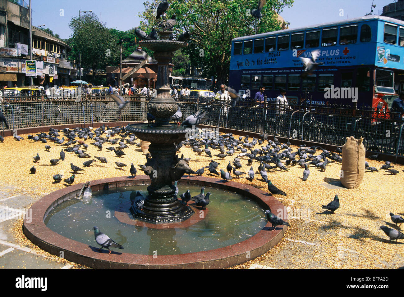 View of Kabootar khana at Dadar west ; Bombay Mumbai ; Maharashtra ...