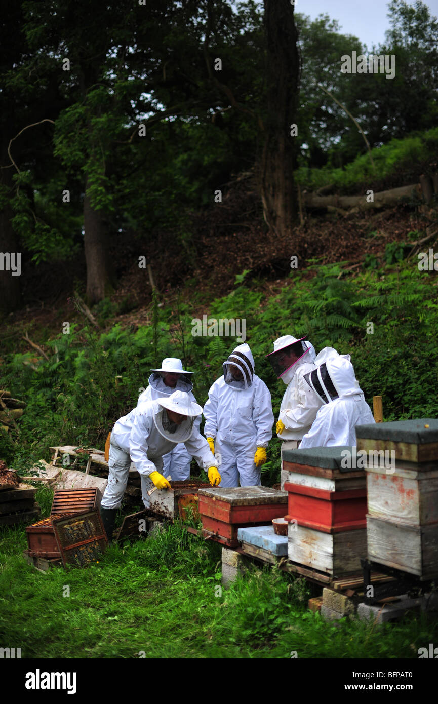 bee keepers meeting and working with bees and bee hives on a farm in ...