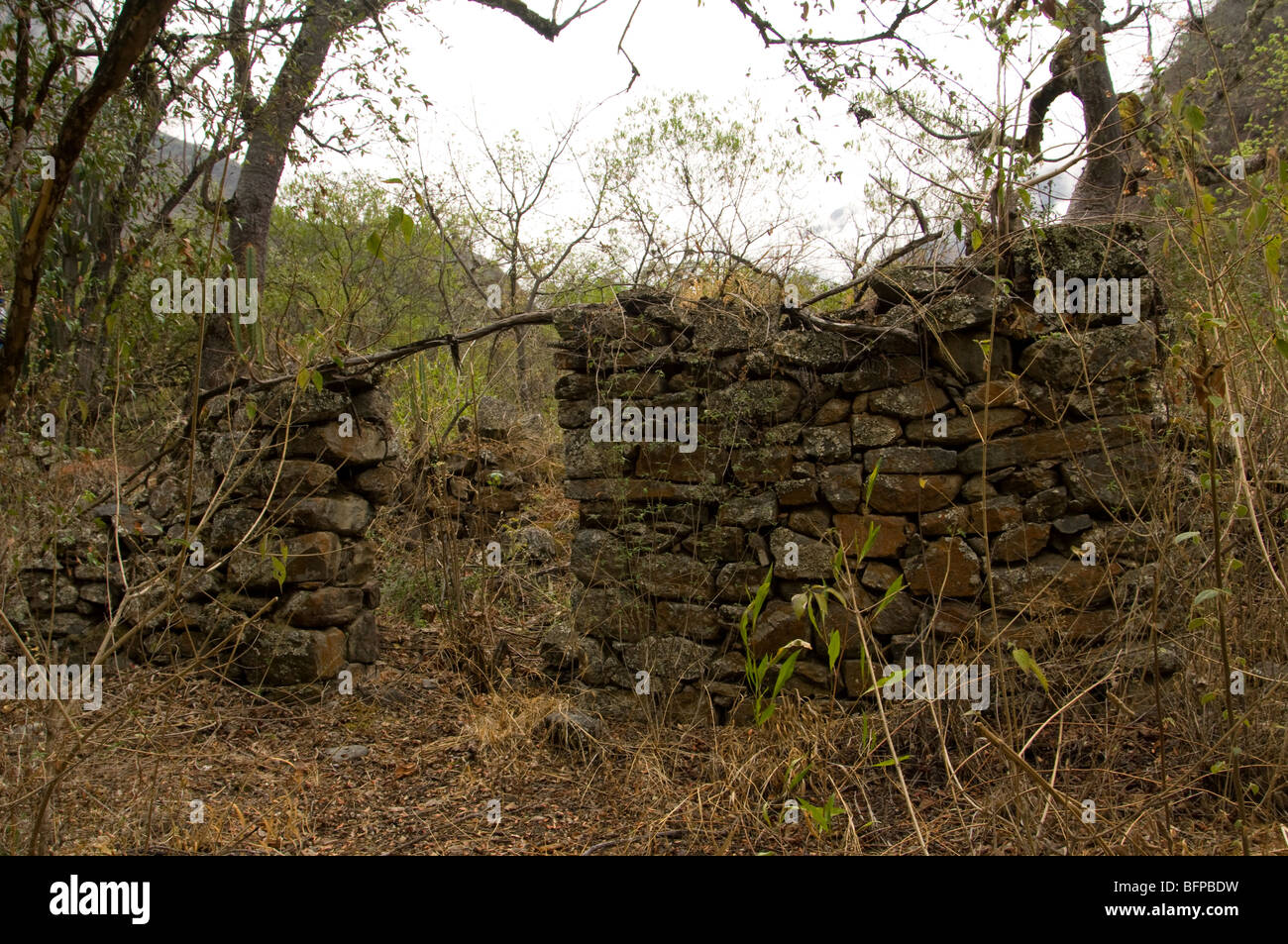 Principal building in the Cota Coca Archaeological site Stock Photo - Alamy