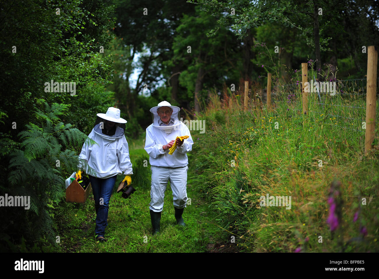 bee keepers walking away from bee hives pictured on a farm in Dorset ...