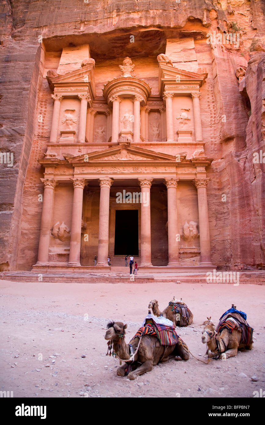 Camels tourist petra treasury hi-res stock photography and images - Alamy