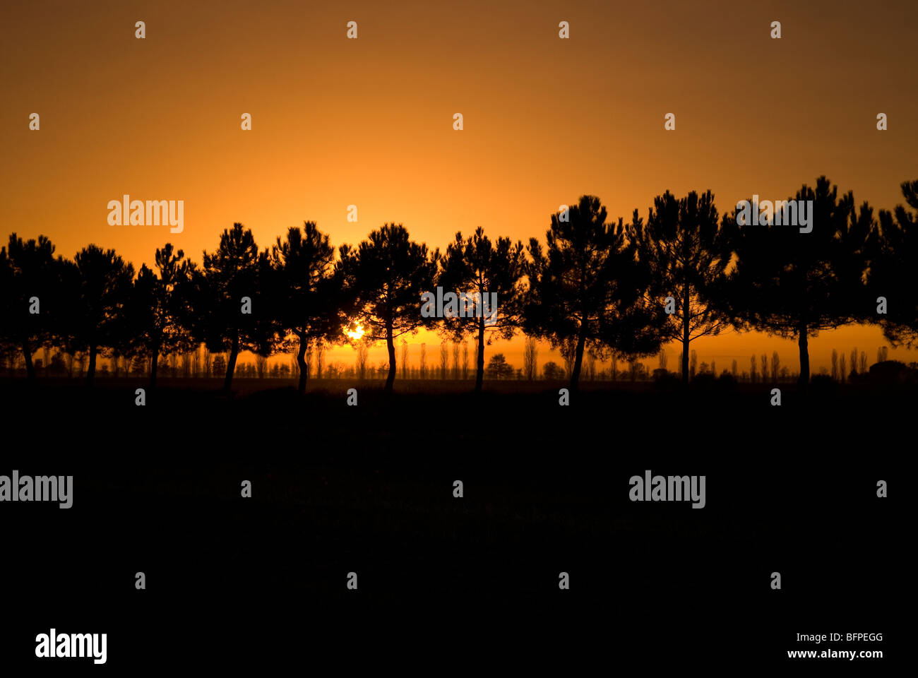 Duna verde hi-res stock photography and images - Alamy