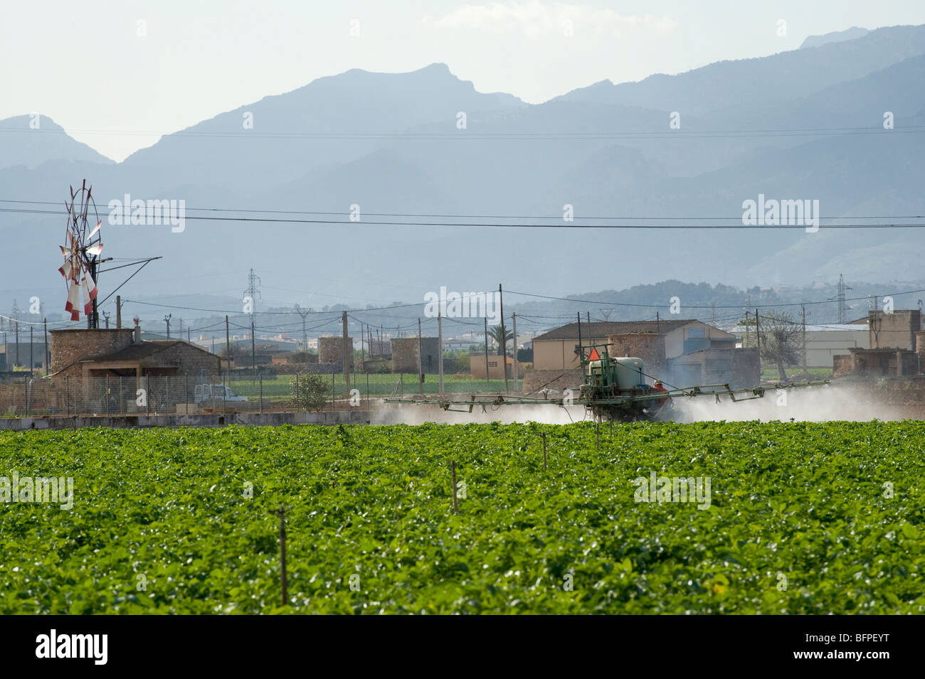 Tractor carrying out crop spraying on a farm in Mallorca, Majorca ...
