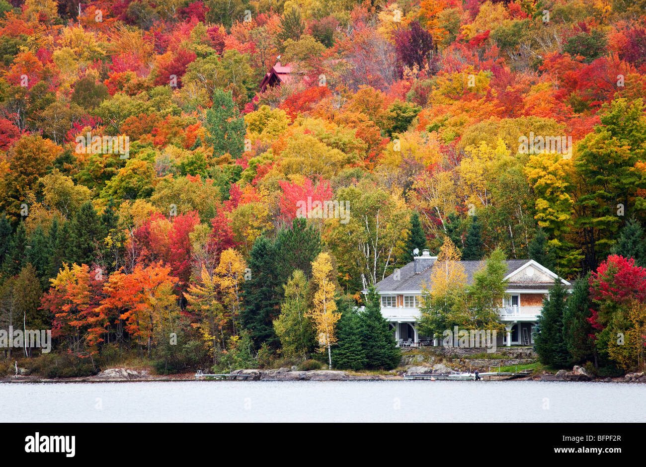 Canada quebec forest trees hi-res stock photography and images - Alamy