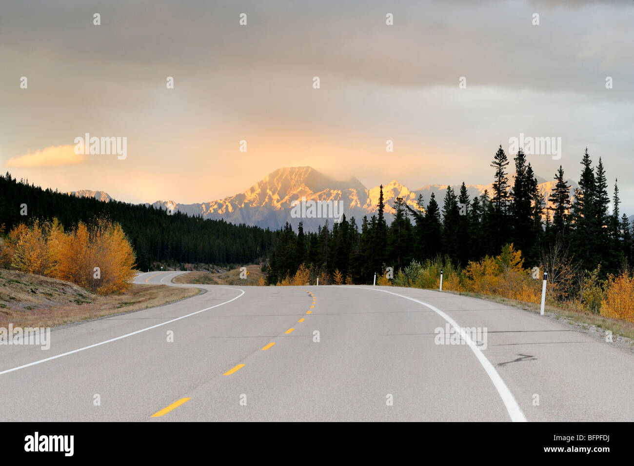 David Thompson Highway in autumn, Abraham Lake Recreation Area, Alberta ...