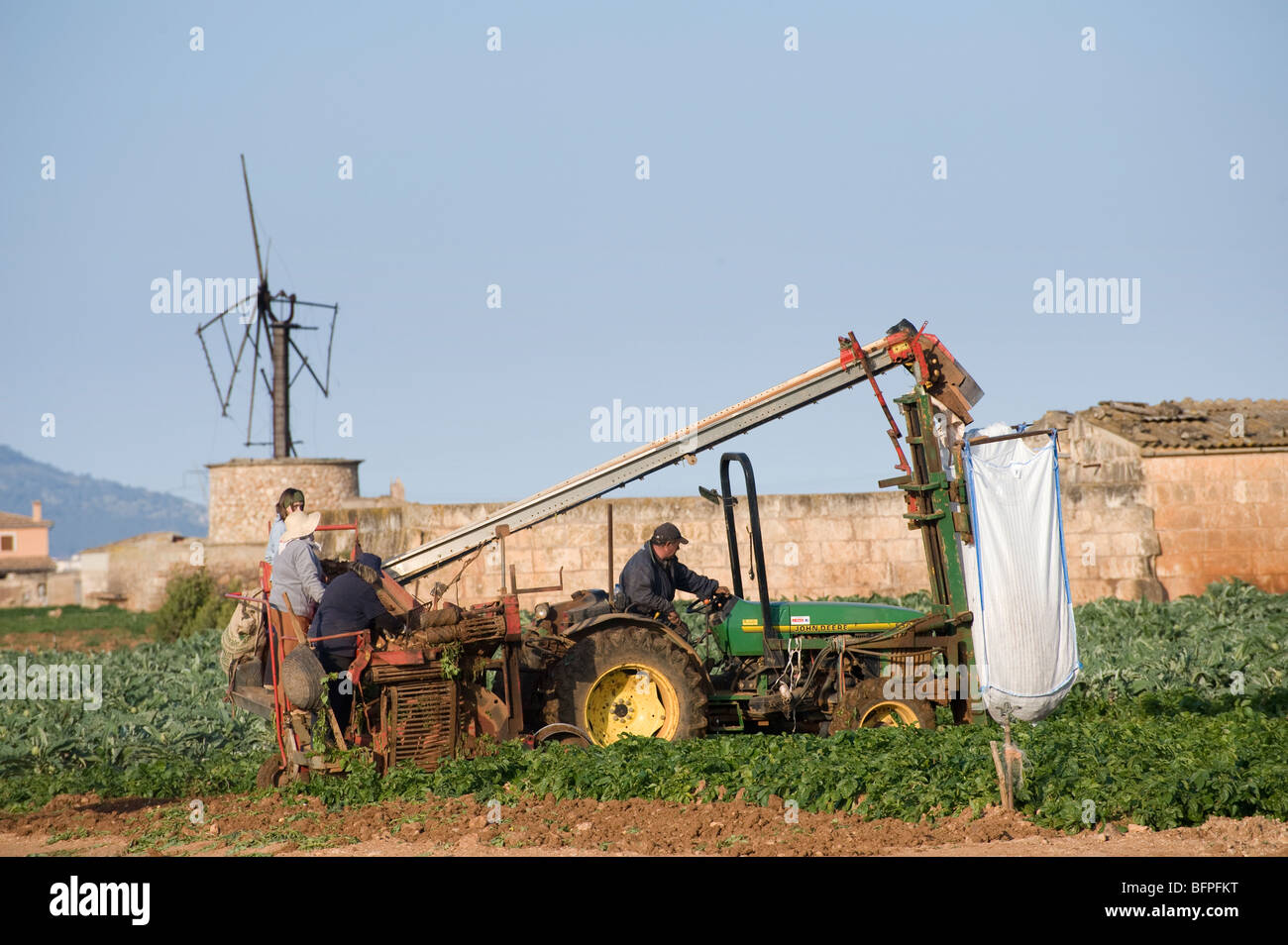 Potato pickers hi-res stock photography and images - Alamy