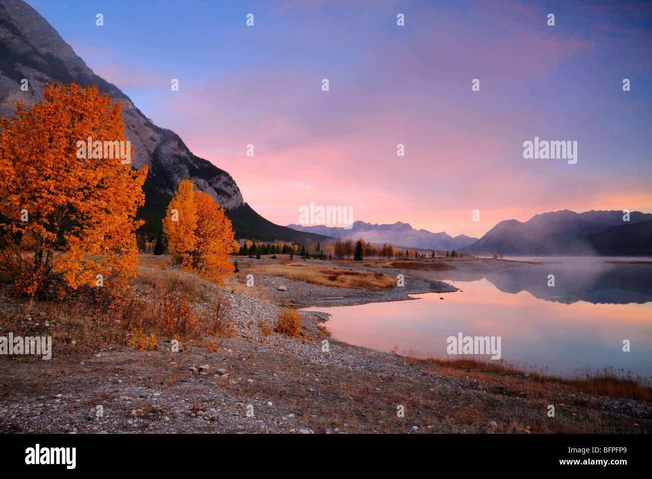 Sunrise skies over Abraham Lake with autumn aspens, Abraham Lake ...