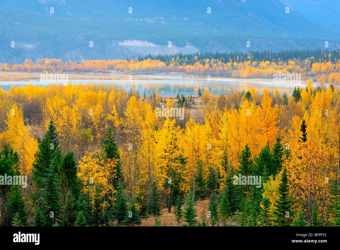 Abraham lake recreation area hi-res stock photography and images - Alamy