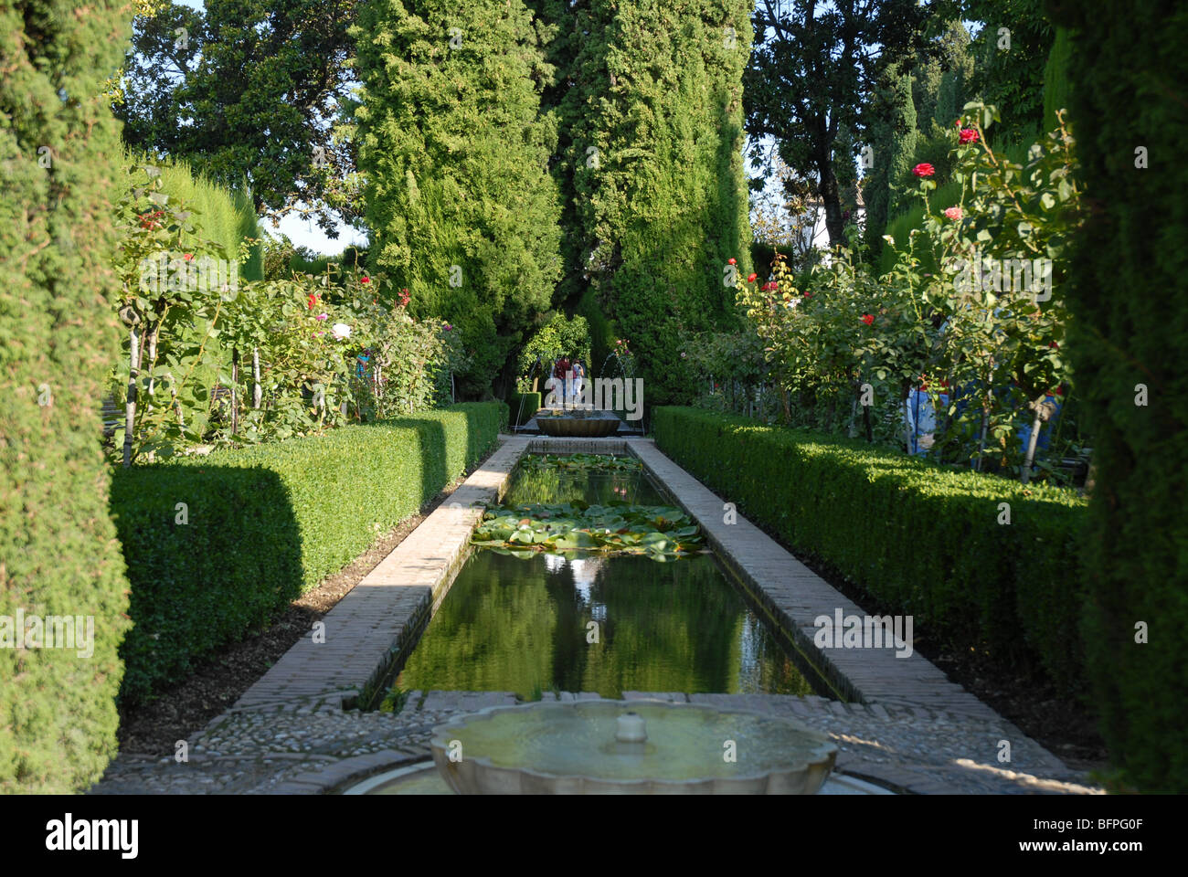 Central pools in the gardens of The Generalife, The Alhambra, Granada ...