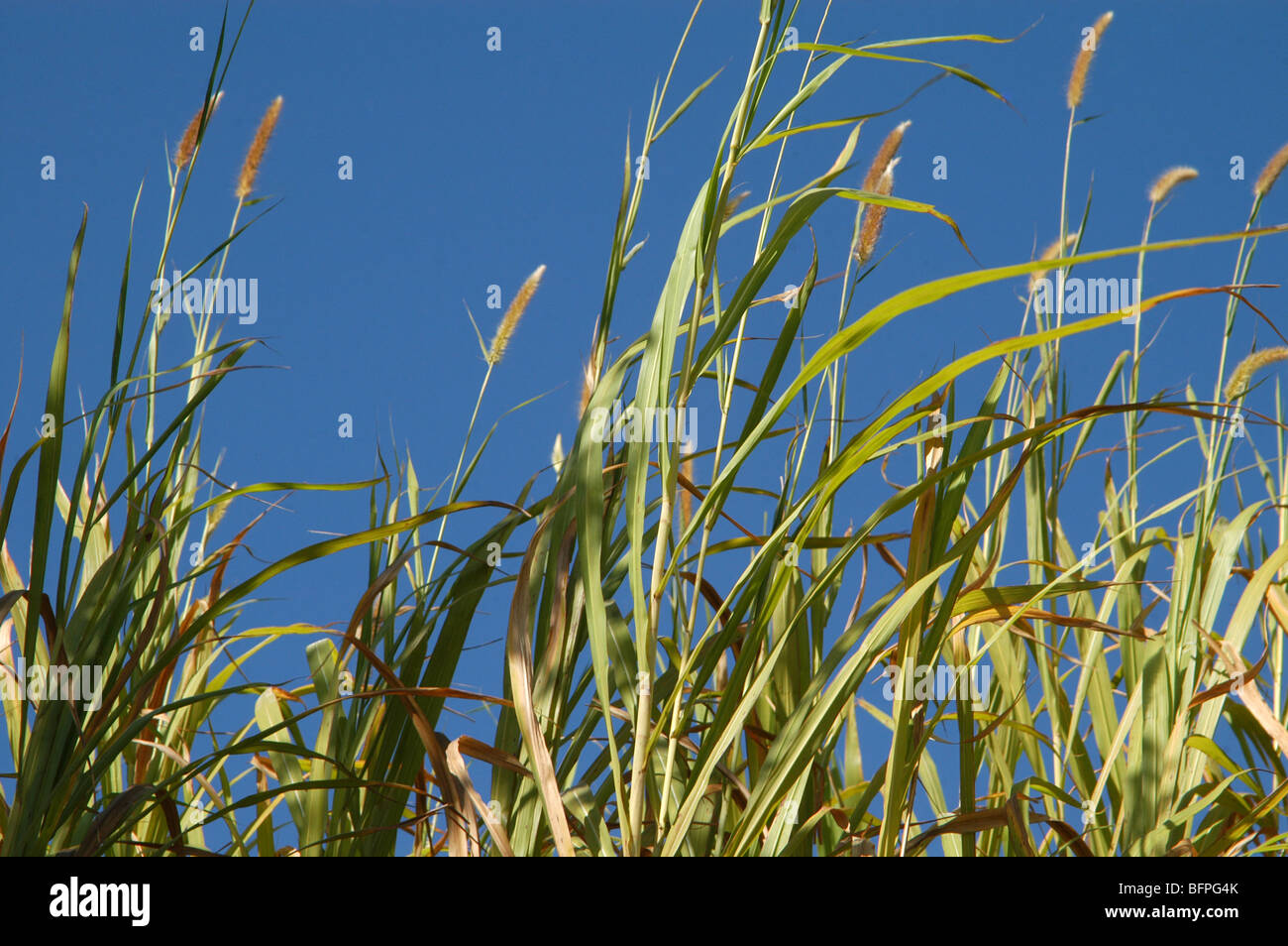 06 07 2007 hi-res stock photography and images - Alamy