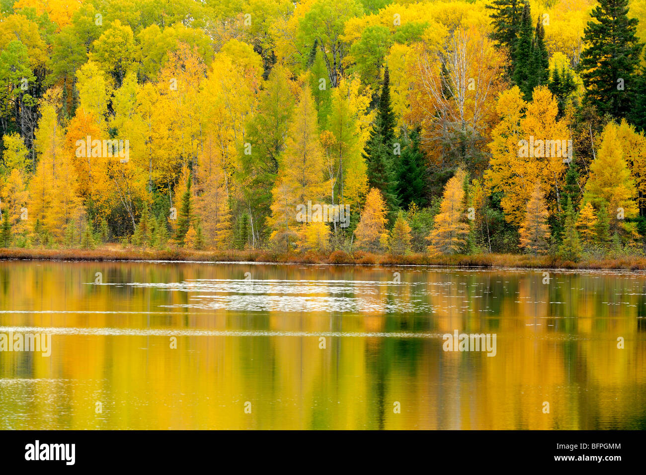 Upsala ontario hi-res stock photography and images - Alamy