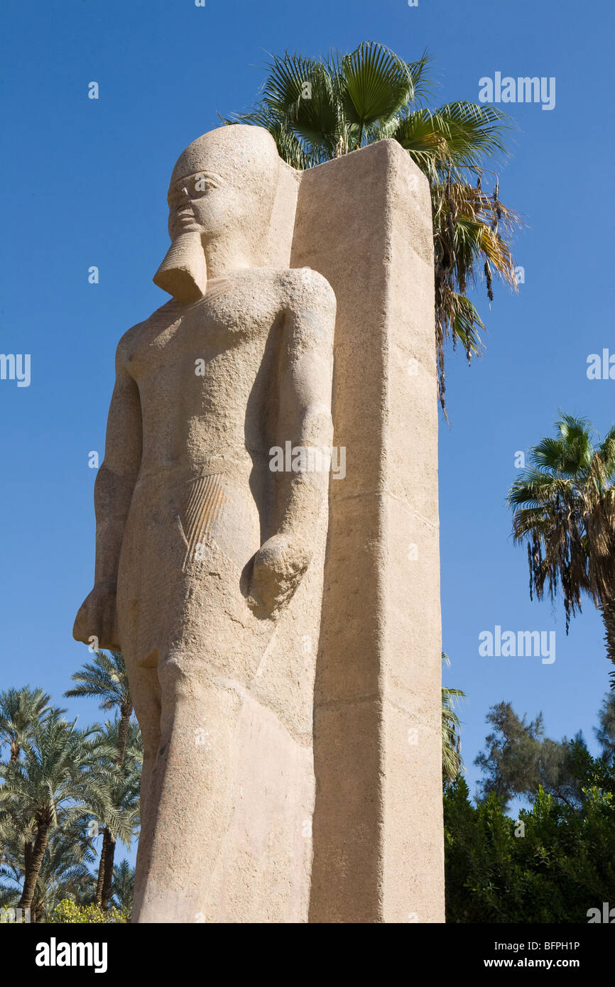 Colossus of Ramesses II within the museum garden at the remains of ...