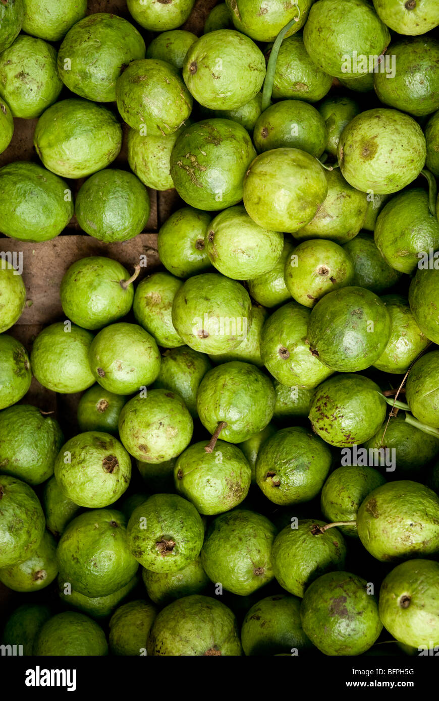 Guavas for sale on an Ethiopian market stall Stock Photo - Alamy