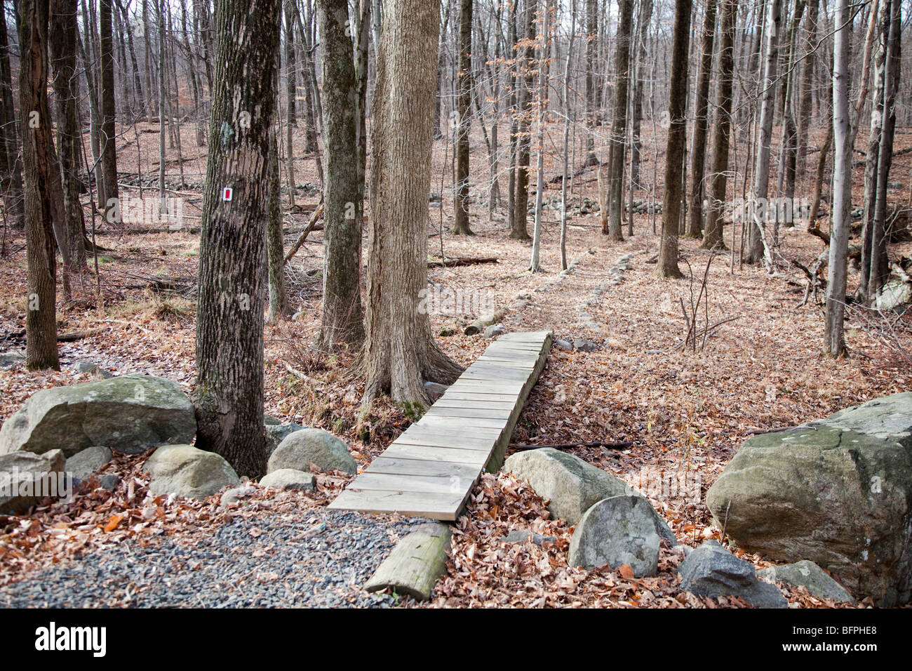 An old wooden footbridge Stock Photo - Alamy
