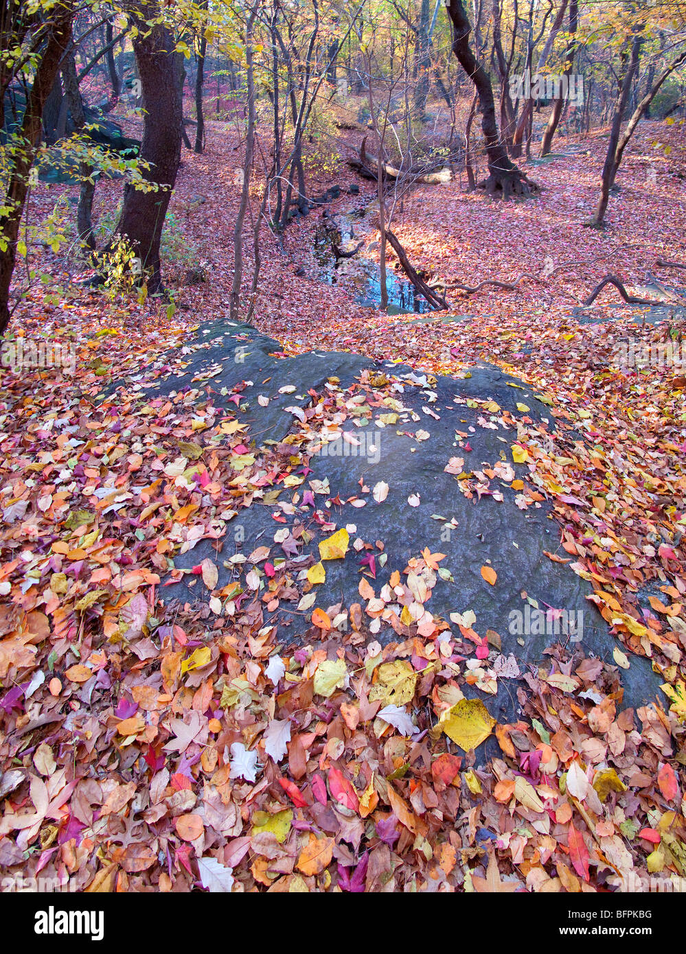 Central Park - New York City in late autumn in the Rambles Stock Photo ...