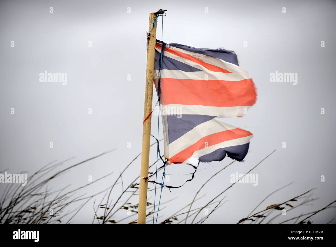 A British flag torn in a gale UK Stock Photo - Alamy