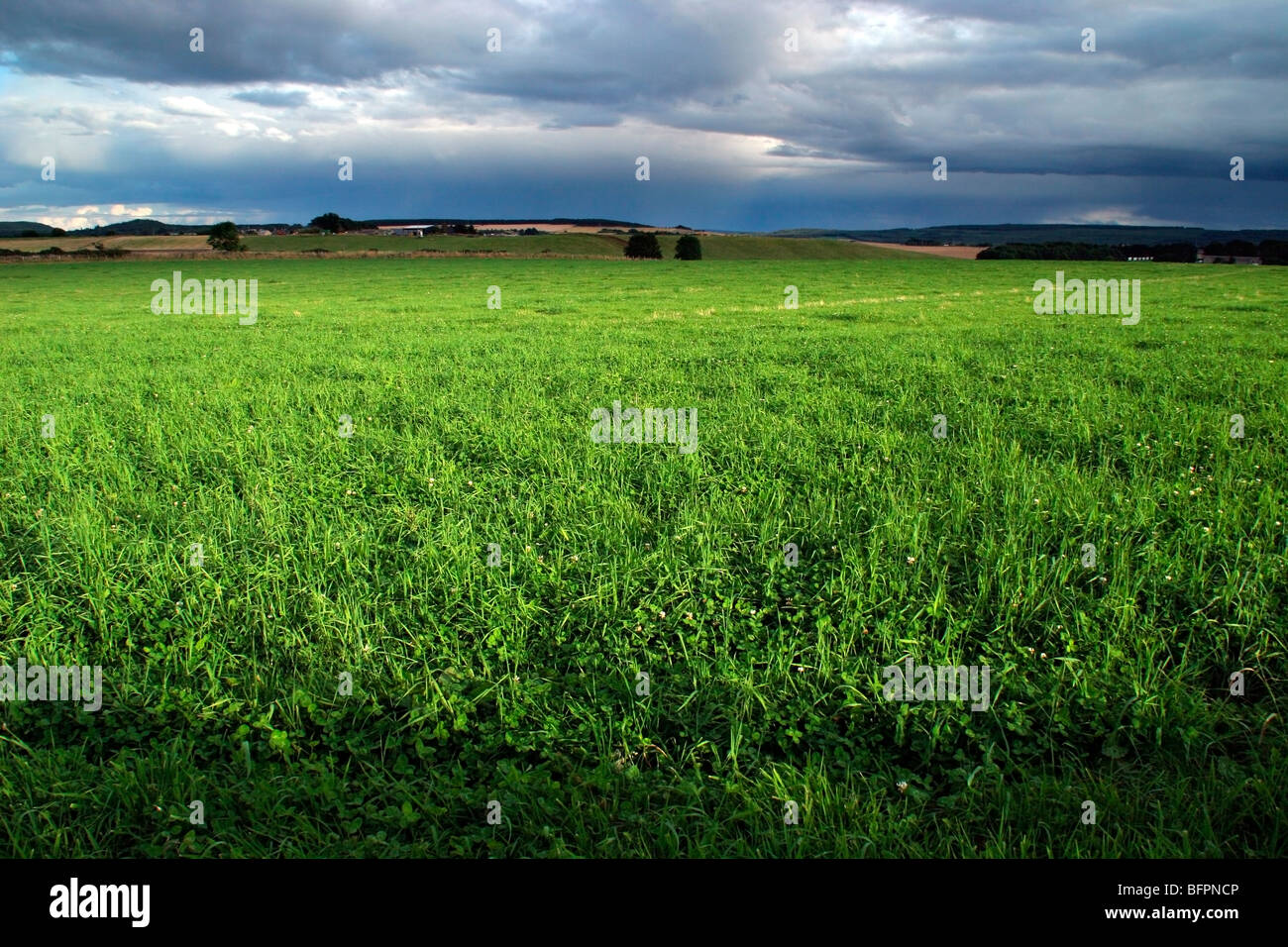 Green fields under cloudy sky, near Kinloss, Morayshire, Scotland, UK ...