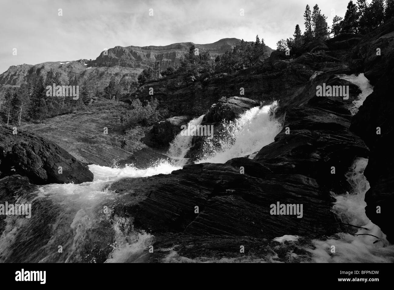 Rapids in a stream in glacier national park in Montana USA Stock Photo ...