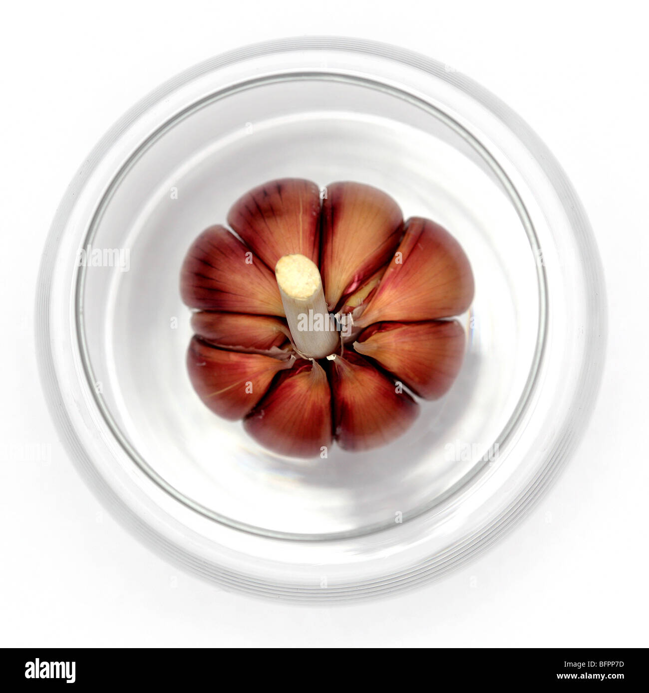 garlic cloves veggie spicy spices nourish nourished nourishing ...