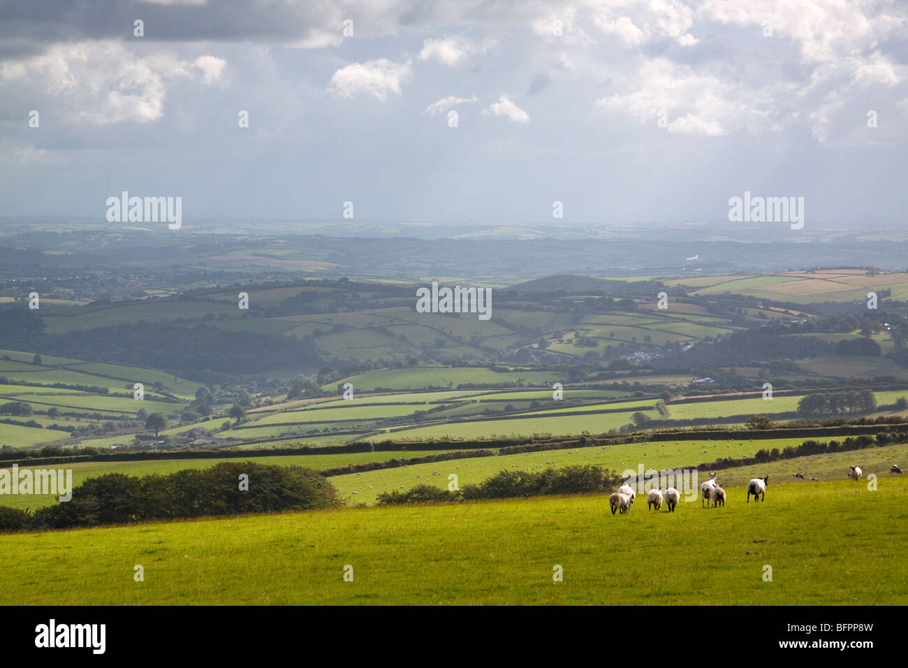 Devon meadows hi-res stock photography and images - Alamy