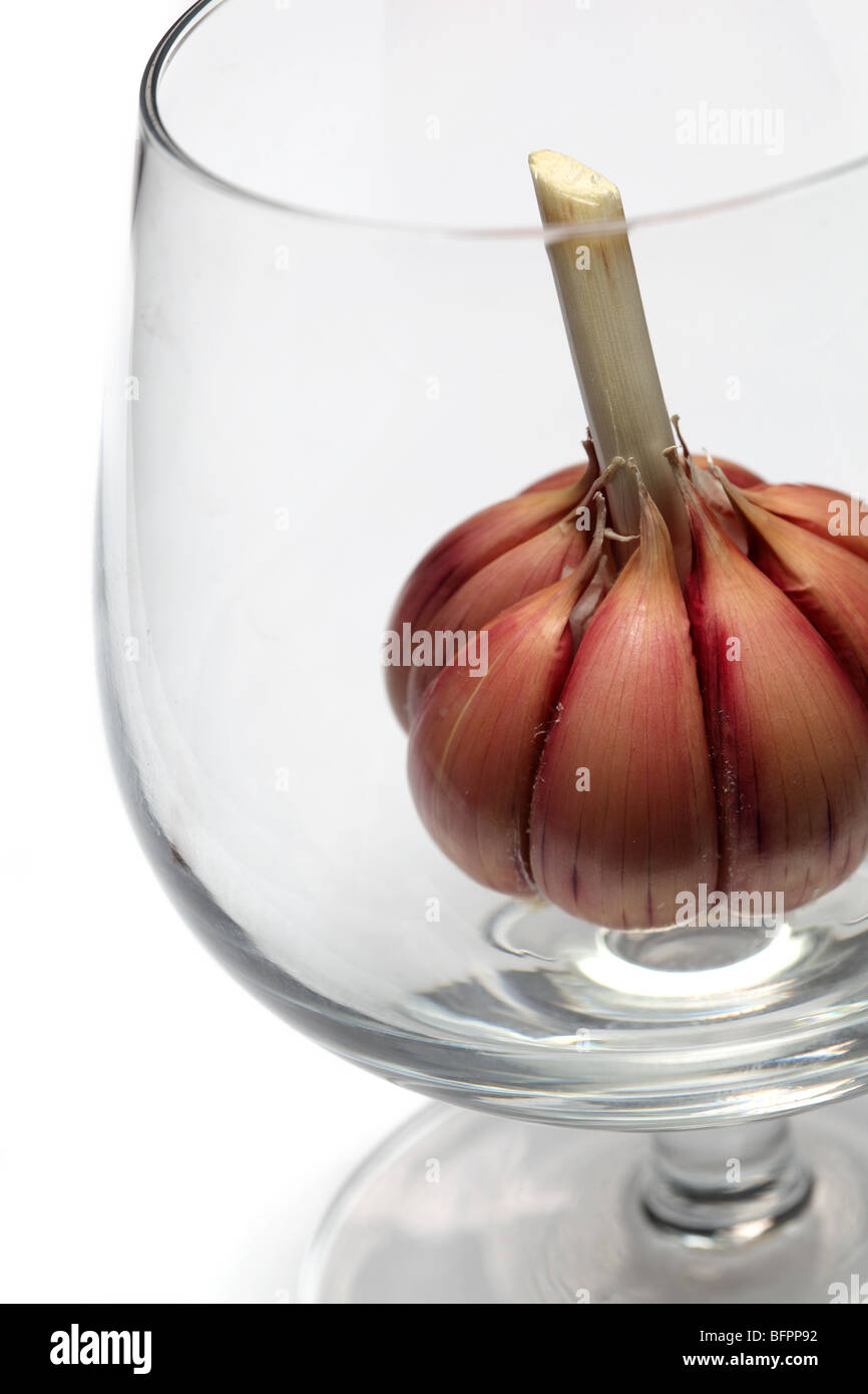 garlic cloves veggie spicy spices nourish nourished nourishing ...