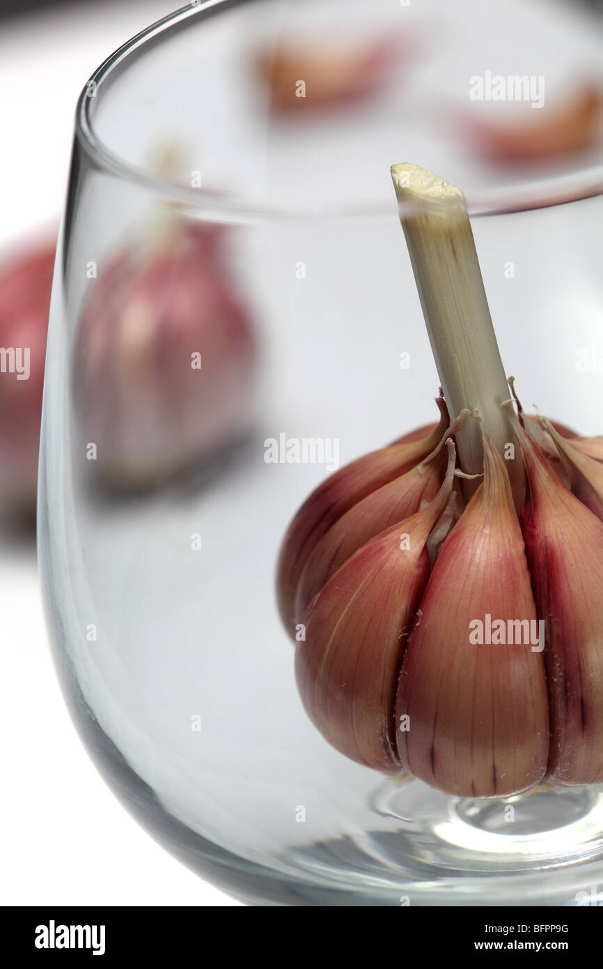 garlic cloves veggie spicy spices nourish nourished nourishing ...