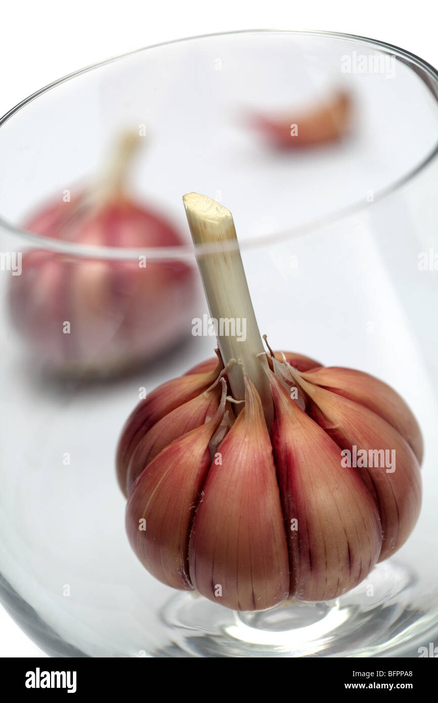 garlic cloves veggie spicy spices nourish nourished nourishing ...
