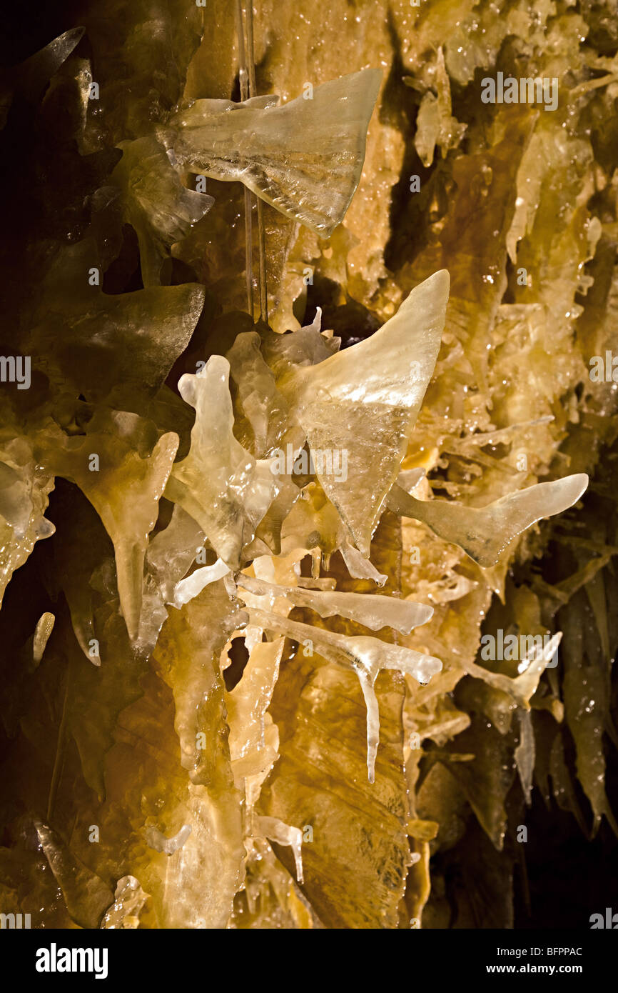 Bladed calcite crystals Caverns of Sonora Texas USA Stock Photo - Alamy