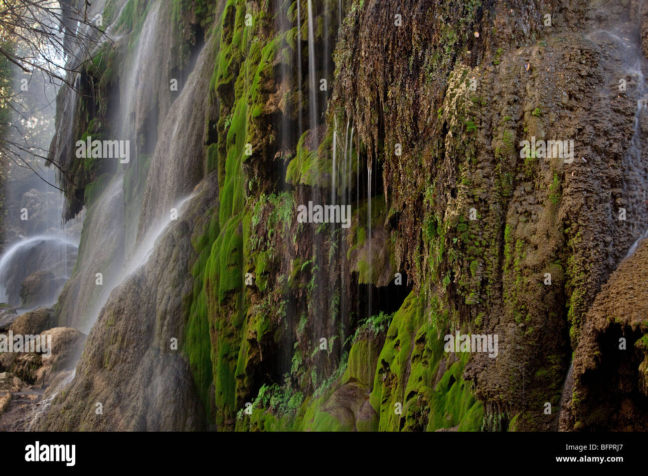 Gorman Falls, Colorado Bend State Park – Texas, USA Stock Photo - Alamy