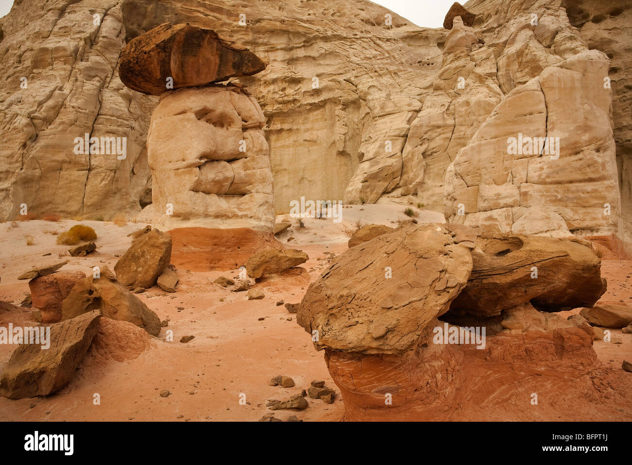 Geological formations of hoodoos in the Rimrock Hoodoo basin on public ...