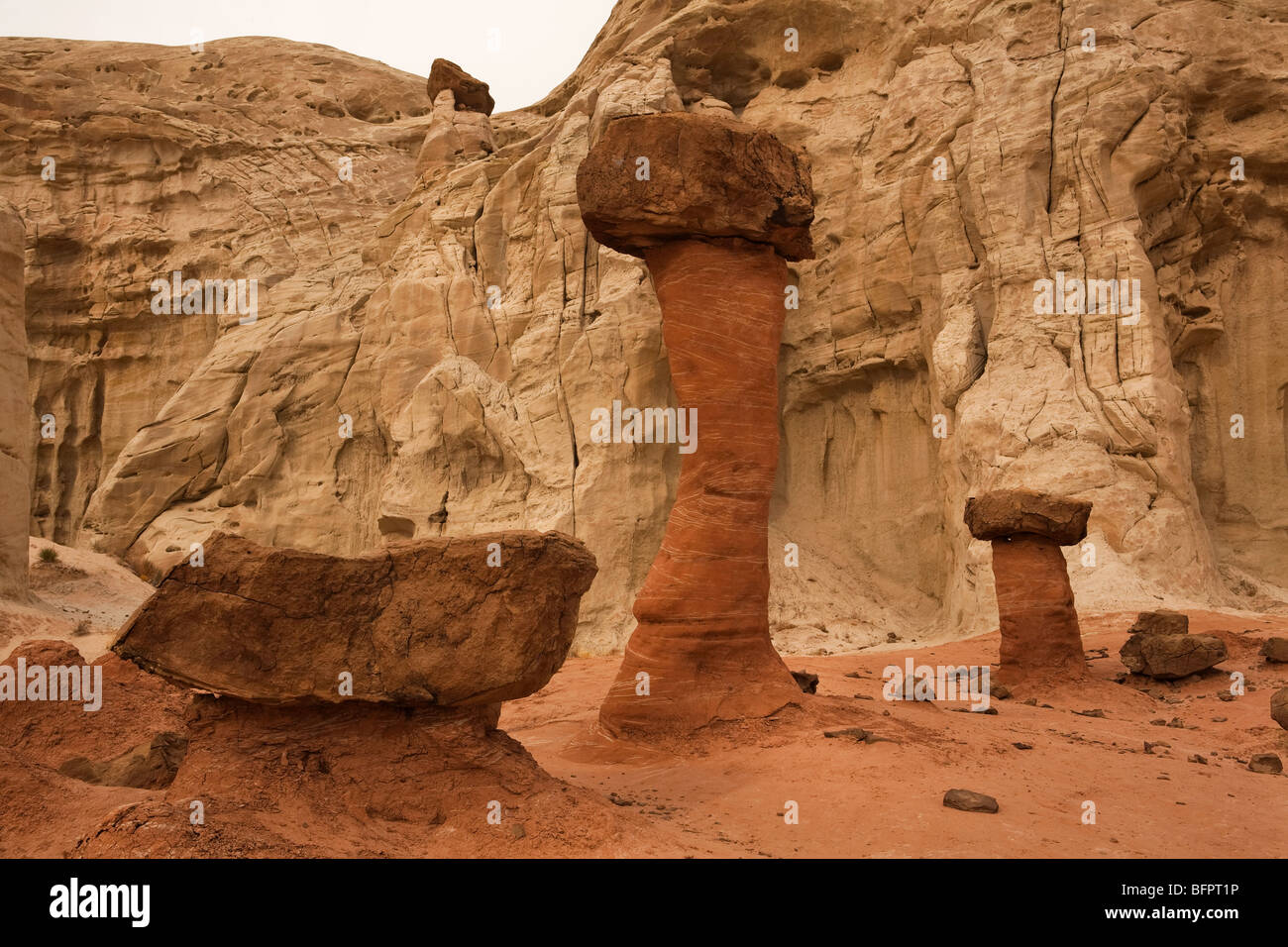 Geological formations of hoodoos in the Rimrock Hoodoo basin on public ...
