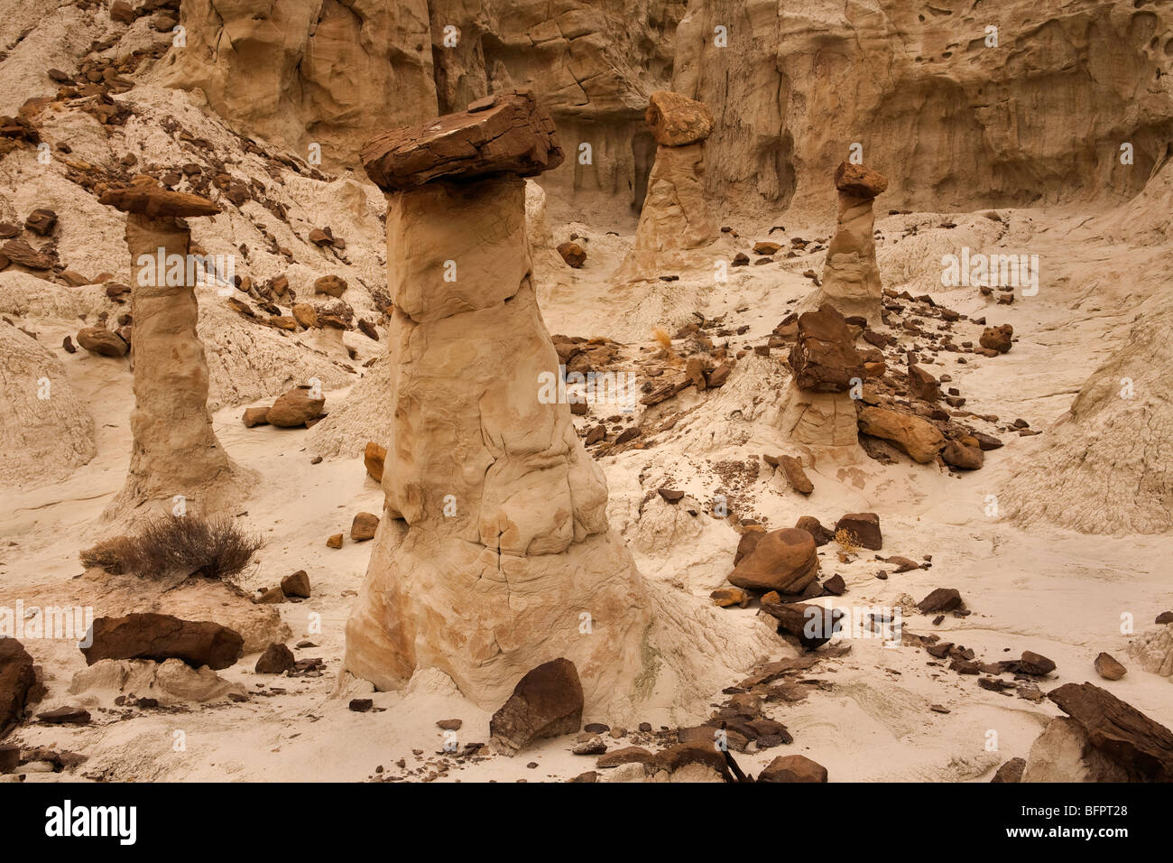 Toadstool hoodoos utah usa hi-res stock photography and images - Alamy
