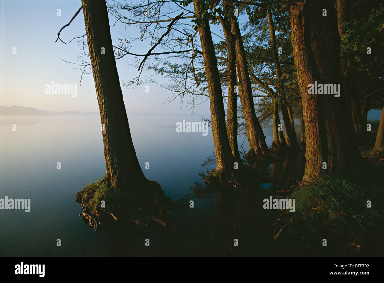 Muritz nationalpark hi-res stock photography and images - Alamy