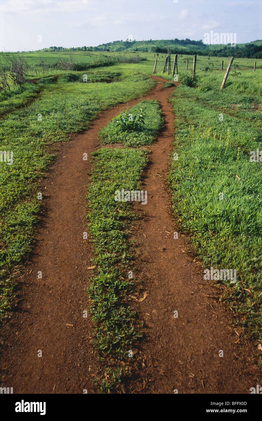 MBT 66523 : Pathway ; Kankavali ; Maharashtra ; India Stock Photo - Alamy